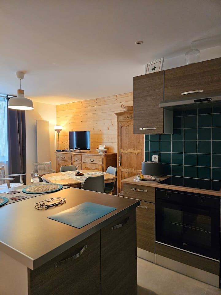 Appartement T2 " Le Flocon Thermal " - Bagnères-de-Luchon