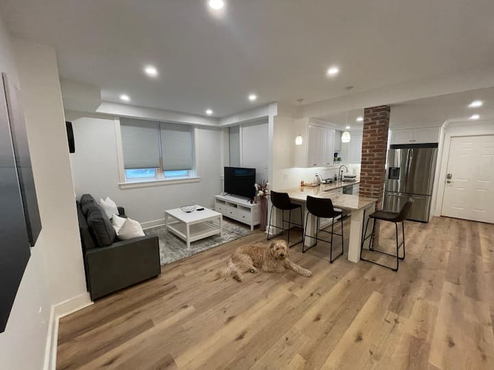 Lovely 1 Bedroom Apartment In Brookline - Brookline, MA