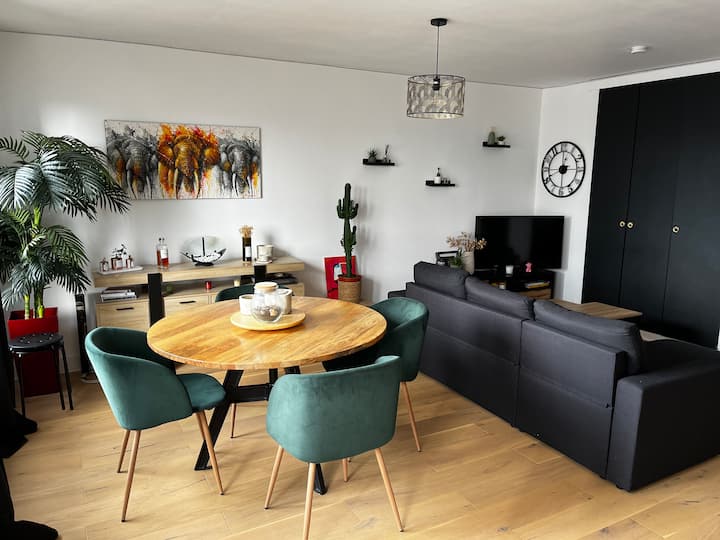 Superbe Appartement T2, 55m2, Olympiades - Paris 4e Arrondissement