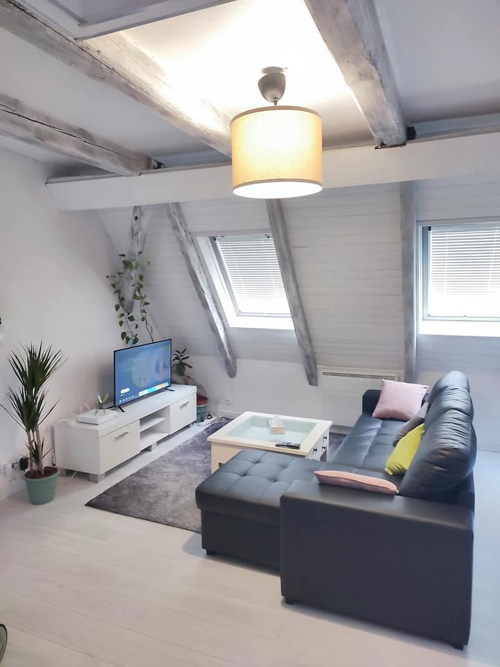 Duplex Aux Portes De Strasbourg Tram 100m - Strasbourg