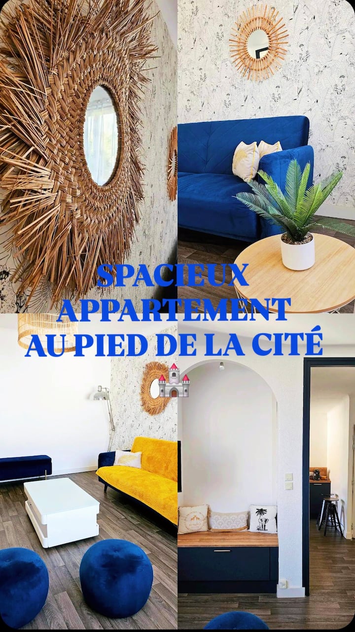 Spacieux Appartement Au Pied De La Cité Médiévale - Carcassonne