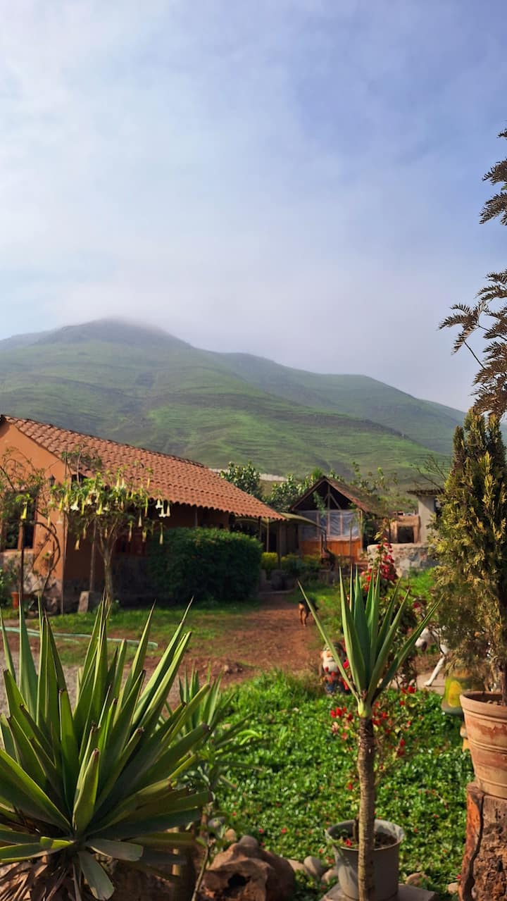 Casa El Prado Pachacamac+wi-fi+pool+grill+directv - Peru