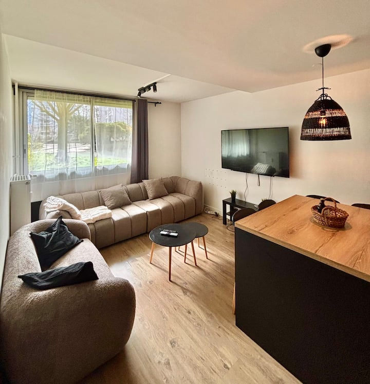 Bel Appartement 4 Chambres  Nouvelle Madeleine - Lille