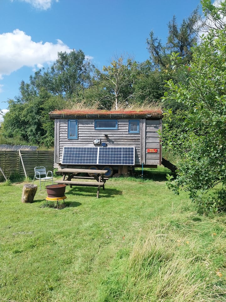 The Willow Ecopod - Alton