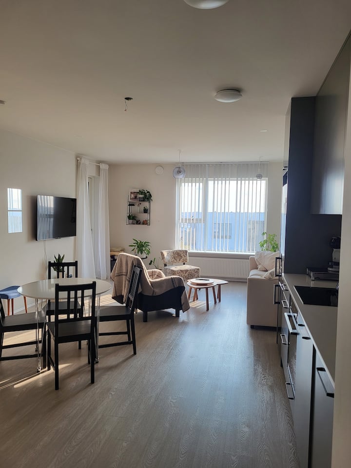 Bright 1 Bedroom Apartment - Islandia