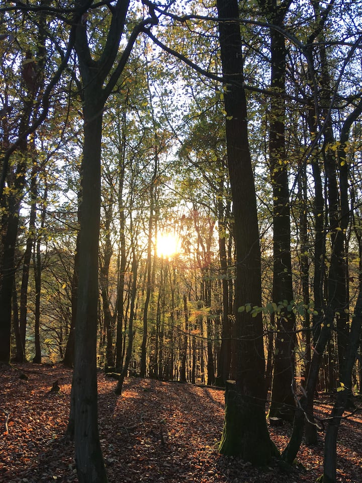 Wohnung Direkt In Eslohe Frühling Im Sauerland Top - Meschede