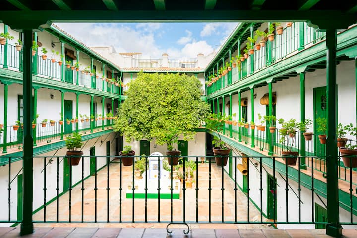 Alohamundi Alcázares - Sevilla, España