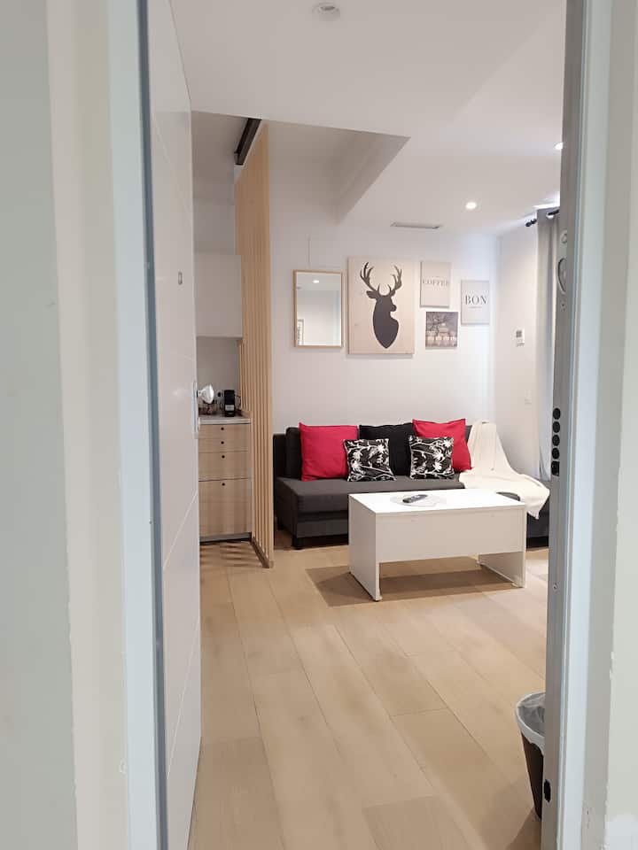 Apartamentos  Bernabeu - Castellana, ÁTico B - Museo Lázaro Galdiano