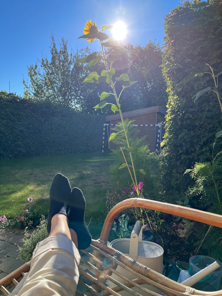 Rækkehus M 4 Soverum, 8 Sengepladser, Central - Odense