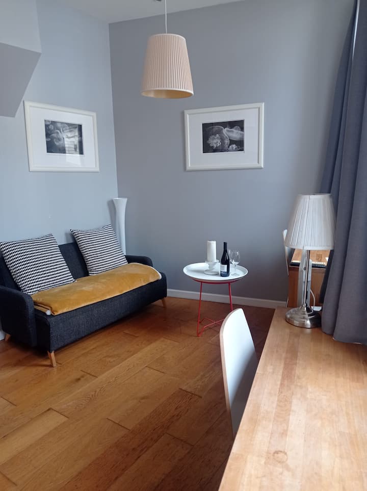 Superbe Studio Suréquipé, Triangle D'or - Bassens