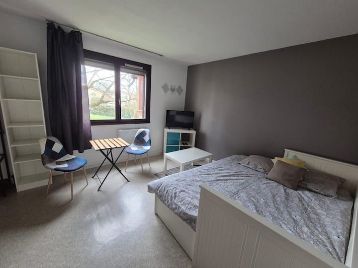 Studio Entier Près De Lyon Et Hôpital Lyon Sud - Soucieu-en-Jarrest