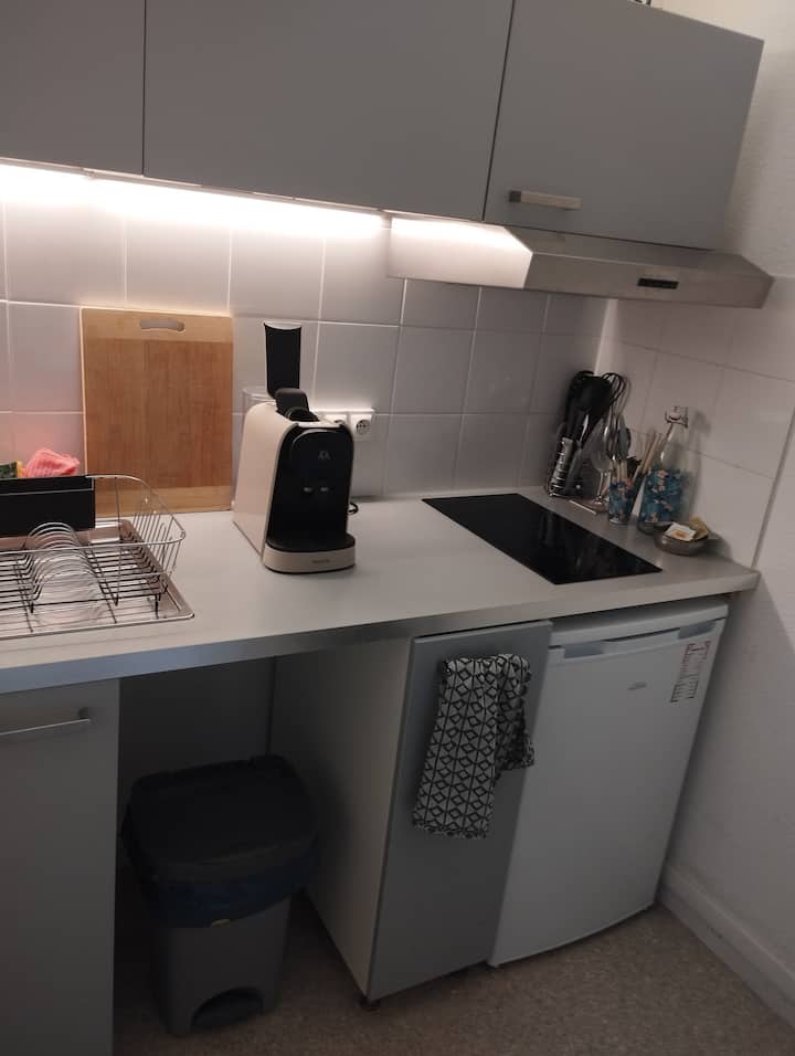 Studio Entier Près De Lyon Et Hôpital Lyon Sud - Saint-Genis-Laval