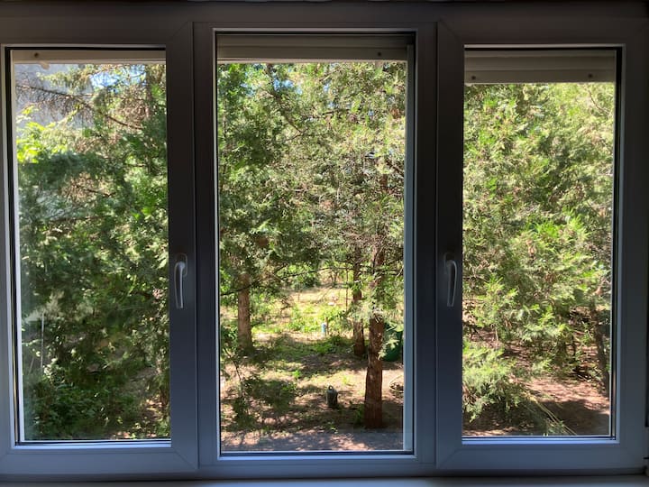 Quiet Green Zone - Budapest