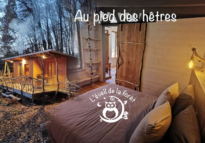 Gîte Nature - Au Pied Des Hêtres - 1/2 Personnes - Égletons