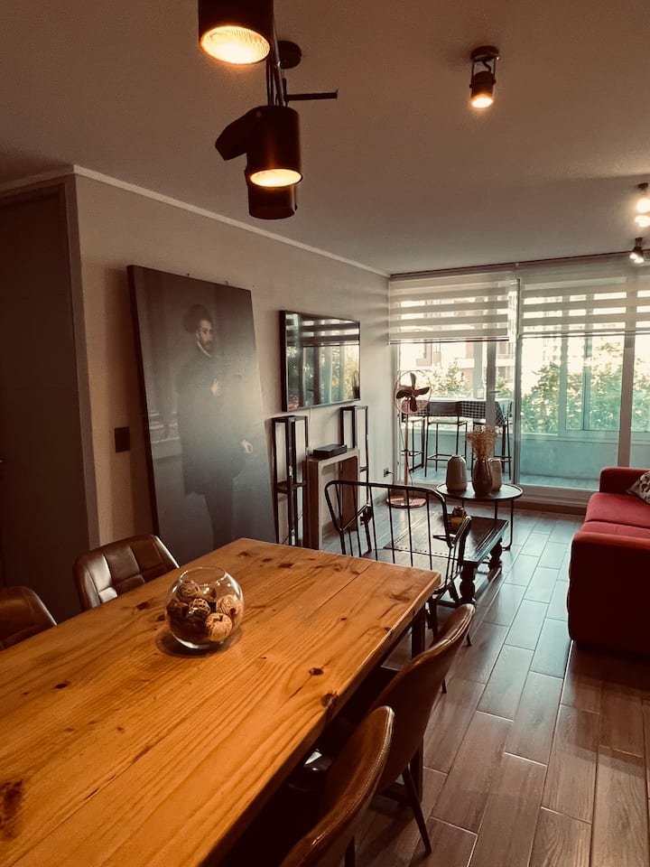 Comfortable Apartment In A Nice Neighborhood - Providencia, Chile