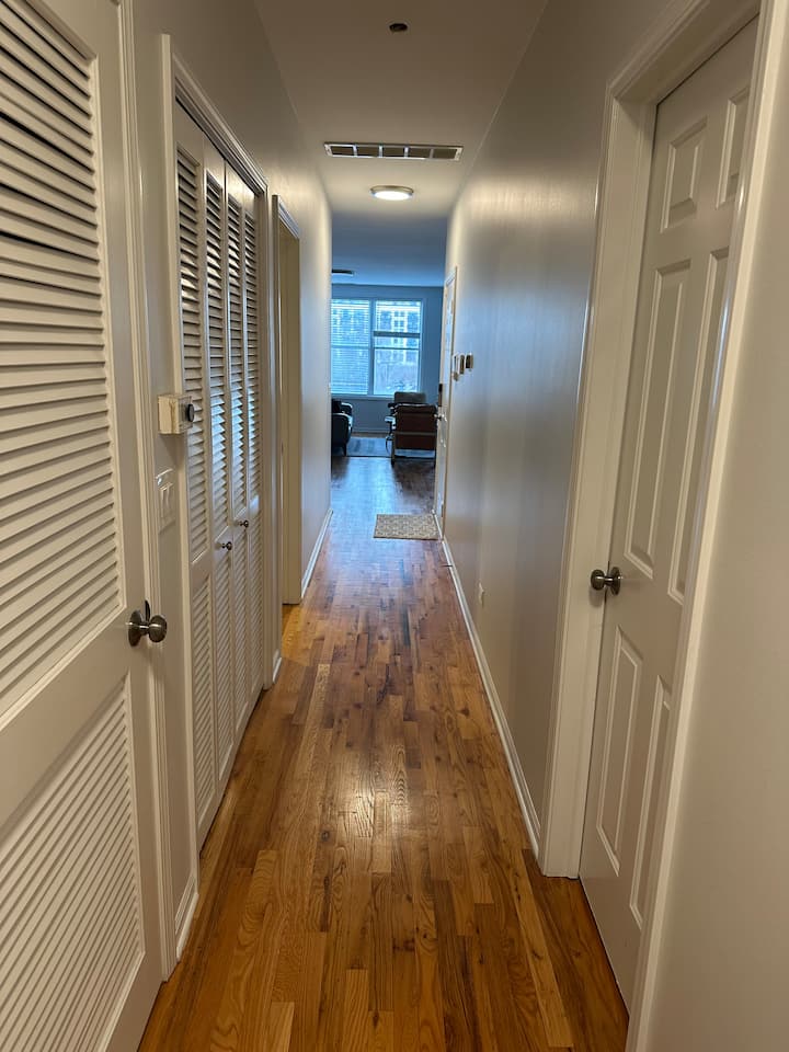 Lovely 1 Bedroom 1 Bath Apartment In Pilsen. - Fuller Park - Chicago