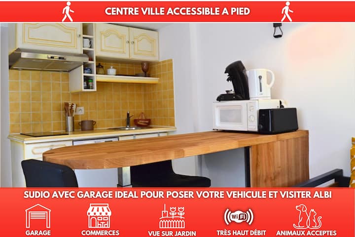 L'atelier De Papy D'albi - Garage - Proche Centre - Albi