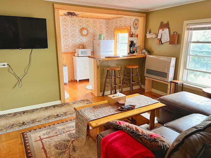 Moose River Loft - 2nd Fl On The Water Old Forge - Old Forge, NY