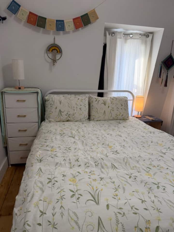 Cozy Apartment On Residential Street In Harvard Sq - Cambridge