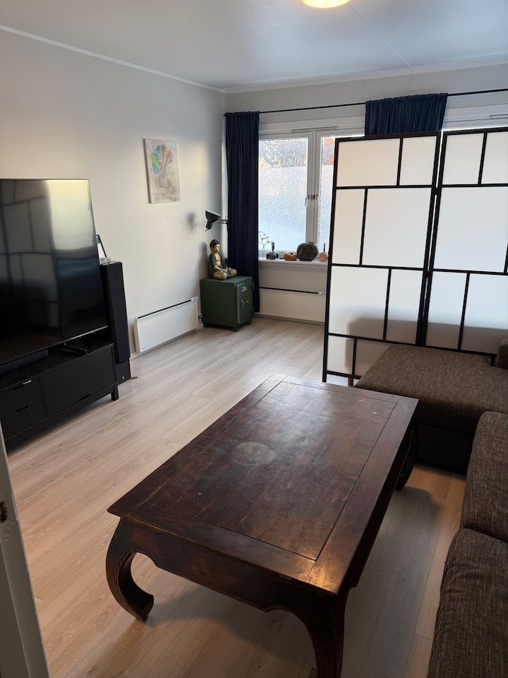 Cozy Apartment In Oslo - Oslo