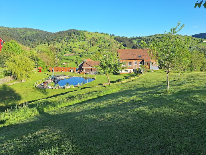 Superbe Appartement Avec Terrain Aménagé Et Bassin - La Bresse