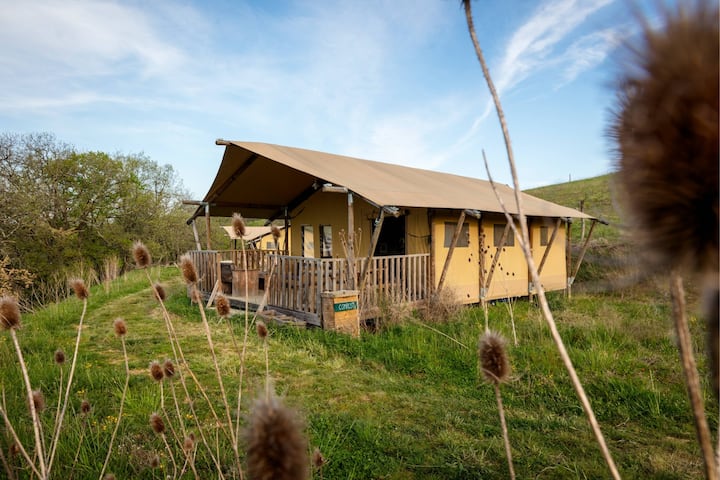 Ecolodge Sunshine, Pour Vivre Dedans-dehors - Vic-Fezensac