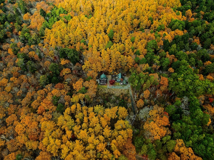 サウナ、富士山伏流水水風呂、星空ジャグジーでのんびり過ごす大人の隠れ家Cachette Foret - Mount Fuji