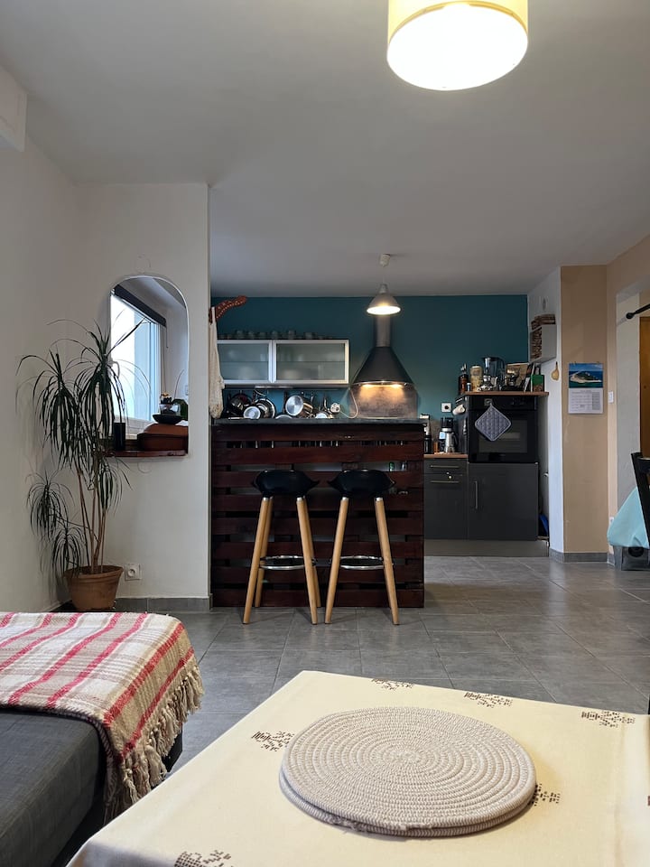 Schiltigheim: Appartement Entier En Résidence. - Schiltigheim