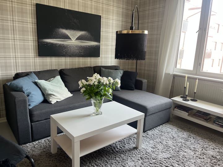 Luxury City Apartment In A Old Wooden House. - Vaasa