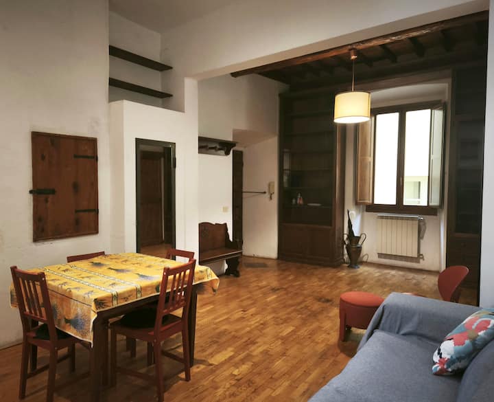 Santi Apostoli Quiet 2 Bedrooms Apartment - Florence