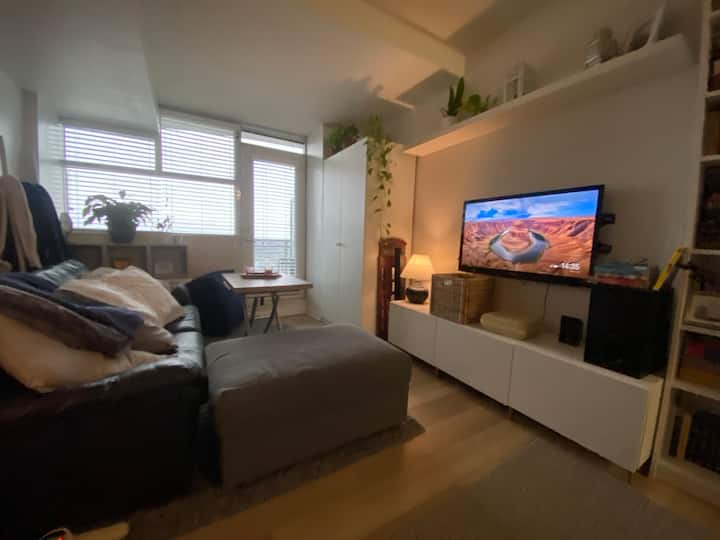 Convenient Cozy Studio Getaway - Toronto