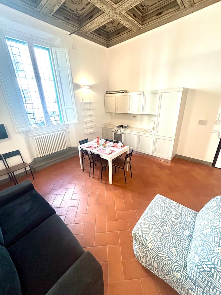 Big New Mattonaia Florence Apartment - Florence