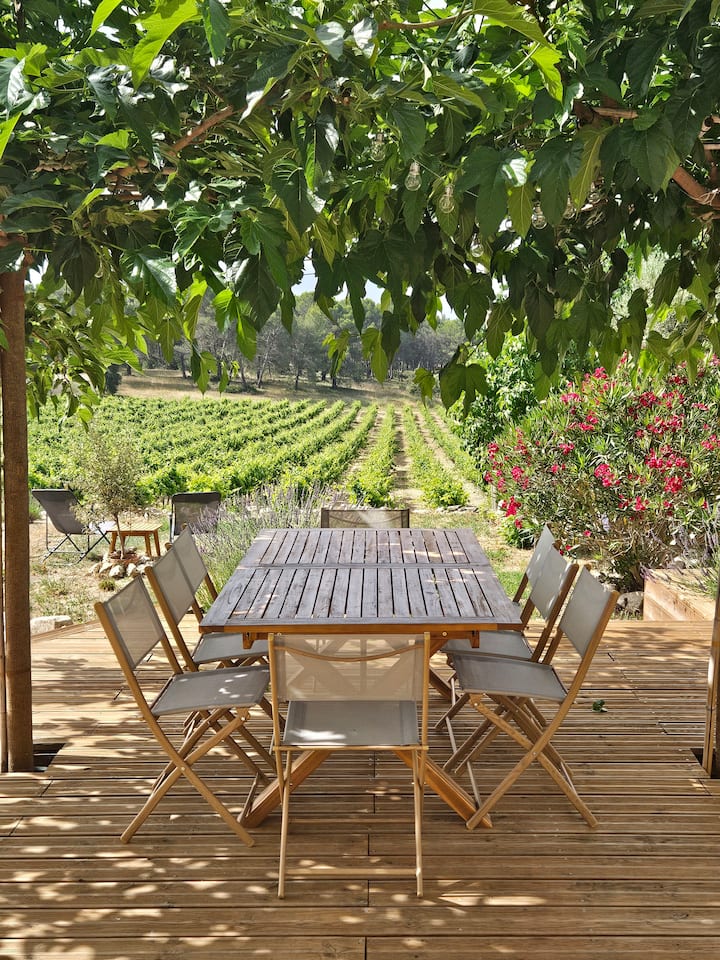 Ancienne Ferme Au Cœur Des Vignes à 10 Mns D'aix - Venelles