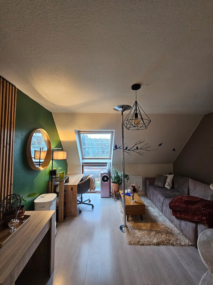 Strasbourg : Appartement Krutenau - Strasbourg