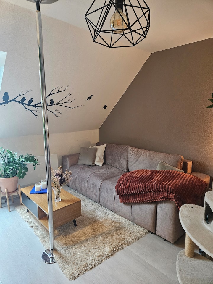 Strasbourg : Appartement Krutenau - Strasbourg