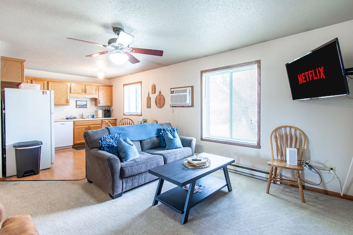 1br I Downtown, Queen, Free W/d, Garage - Fargo, ND
