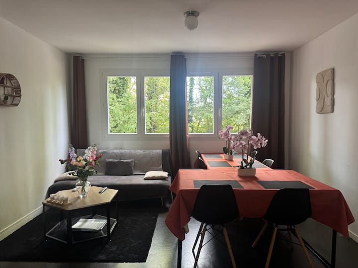 Jolie Appartement En Résidence, Secteur Calme - Roubaix