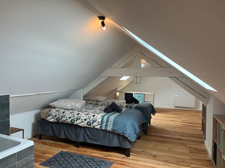 Apt Type 3 En Duplex Sur Evian Les Bains Vue Lac - Évian-les-Bains