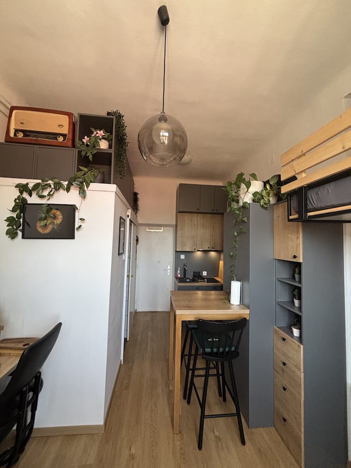 Cosy Appartment Just Outside City Center + Parking - Ljubljana