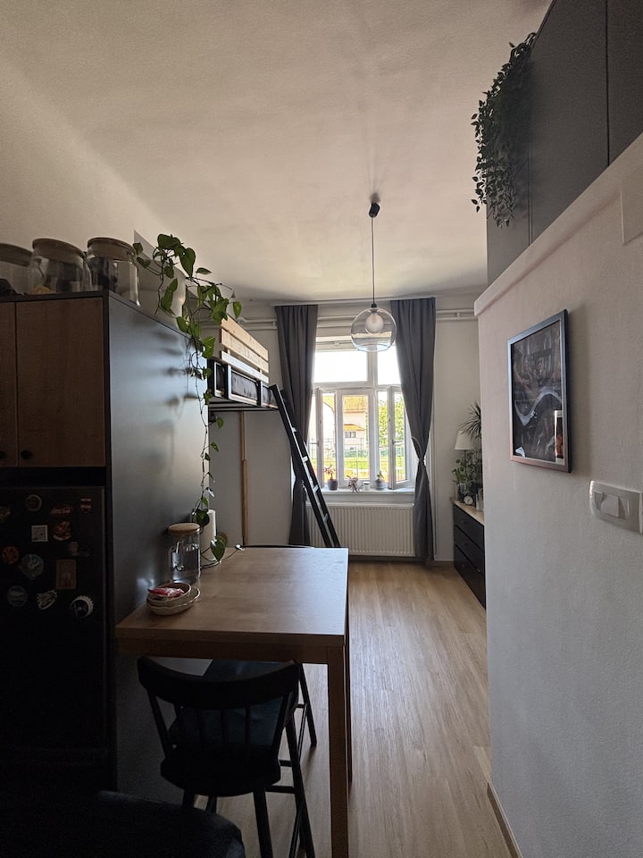 Cosy Appartment Just Outside City Center + Parking - Ljubljana