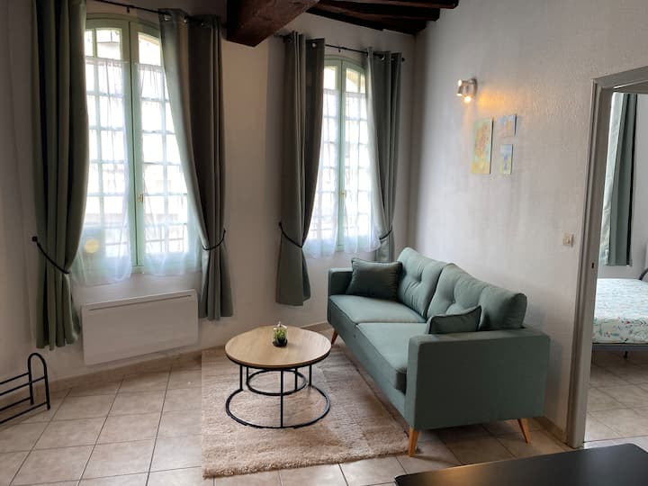 Très Bel Appartement Lumineux à Deux Pas Arènes - Arles