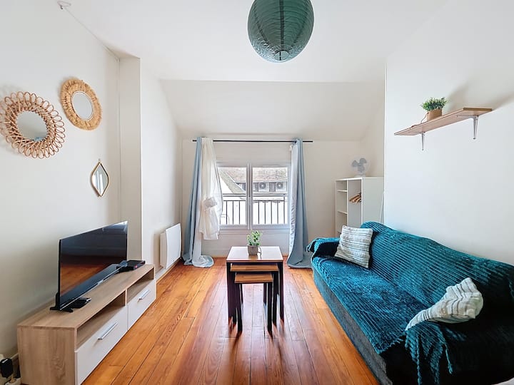 Logement Entier - Dernier éTage - Cœur De Ville. - Lac des Closiers