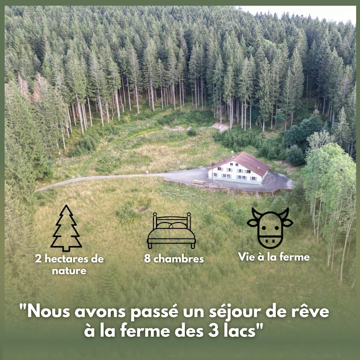 La Ferme Des 3 Lacs - Xonrupt-Longemer