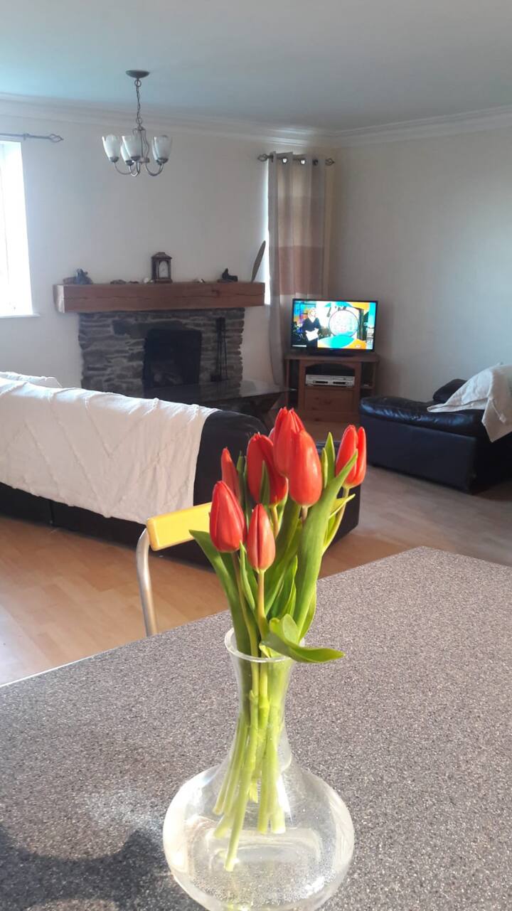 Ballyhornan Home - Strangford