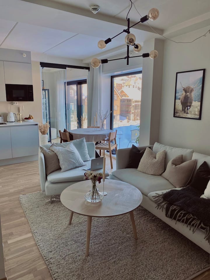 Lys Og Delikat Byleilighet Med Utsikt - Tromsø