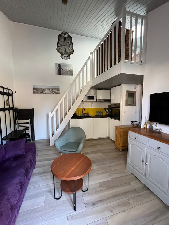 Maison Chaleureuse Aux Pieds Des Dunes - Barbâtre