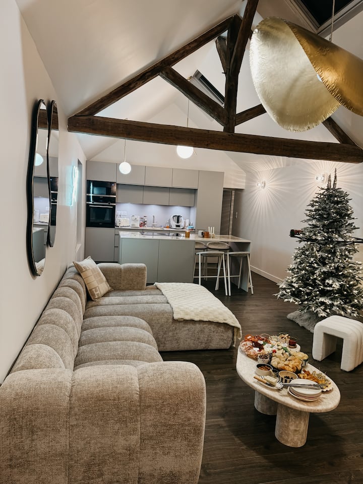 Superbe Appartement Rénové Avec Parking Et Jardin - Dijon