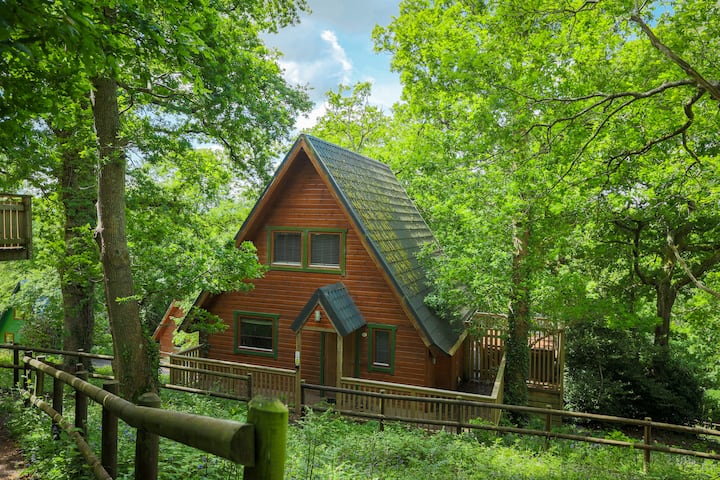Fern Gully Lodge With Hot Tub And View - Ashburton, UK