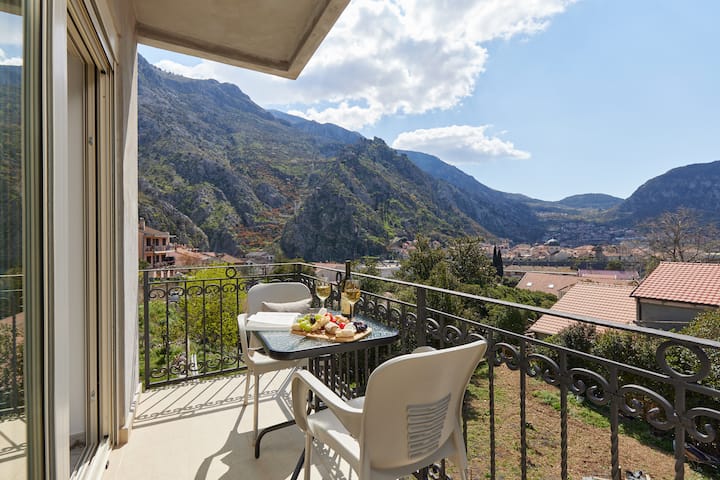 Stanisic Family Apartments - Gray - Kotor