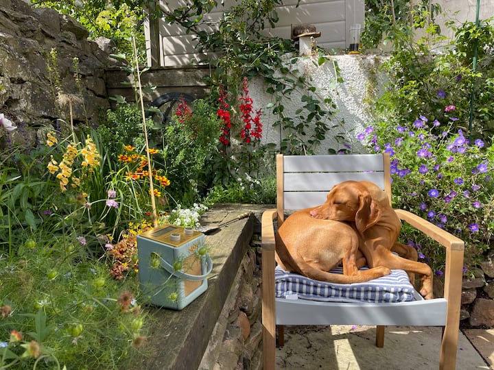 Dog Friendly, Garden Flat In Great ‘Foodie’ Area - Filton